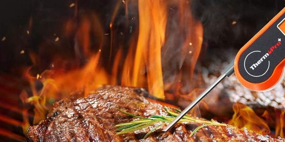 ThermoPro TP19H Digital Meat Thermometer Review | Best Sporting Gear